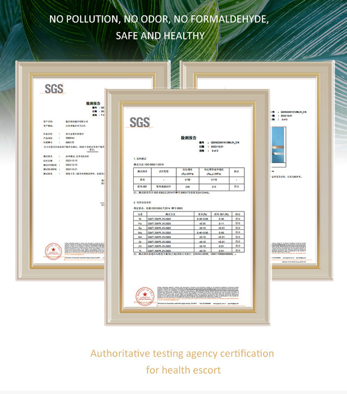 Antibacterial WPC Wood Panel Wood Plastic Composite Cladding Wall Panel